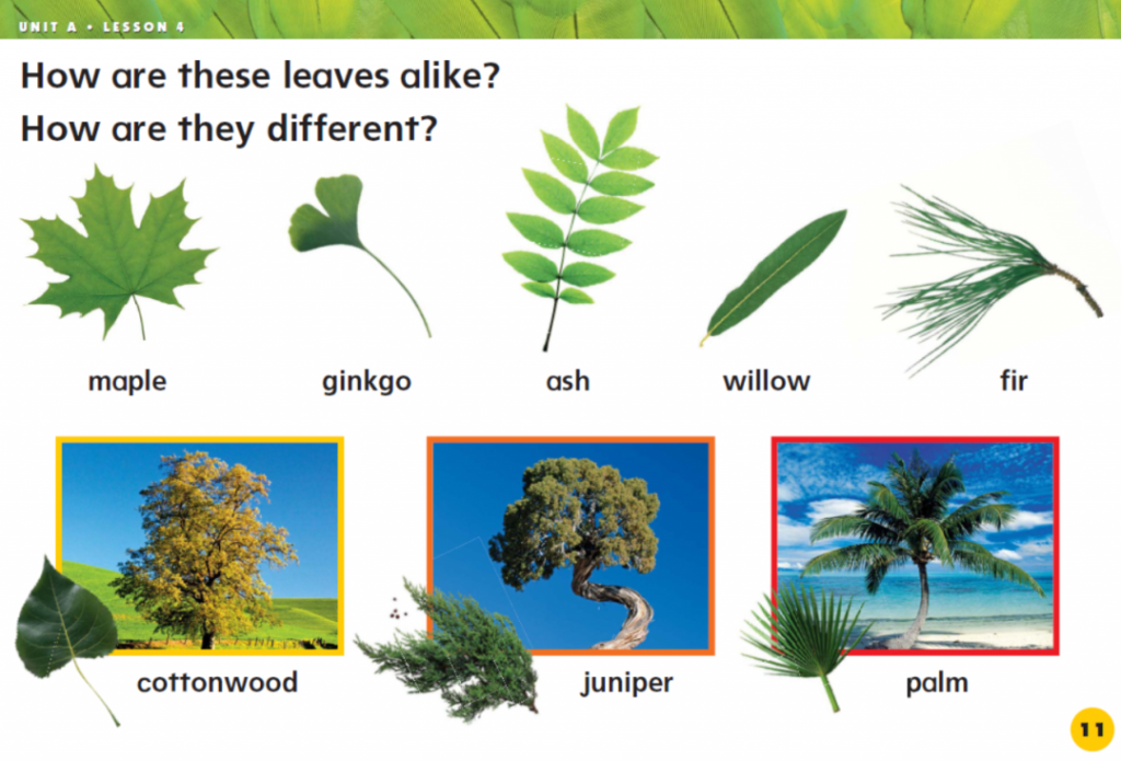 Science A Closer Look GK-G6 电子版-我的小孩的成长分享