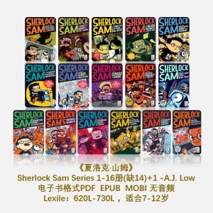 Sherlock Sam Series 1-17册(缺14)+1 （A.J. Low）电子版-我的小孩的成长分享