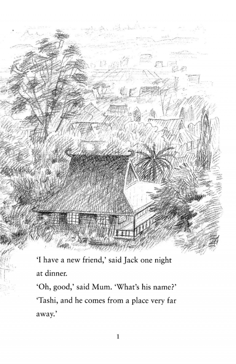 《超级冒险王》Tashi series 1-16 Anna Fienberg 共16册PDF-我的小孩的成长分享